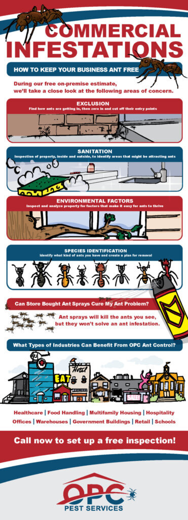How to Keep Your Business Ant Free - OPC Pest Services