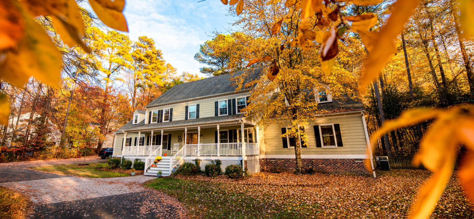 Fall Invaders Program - Season Pest Control