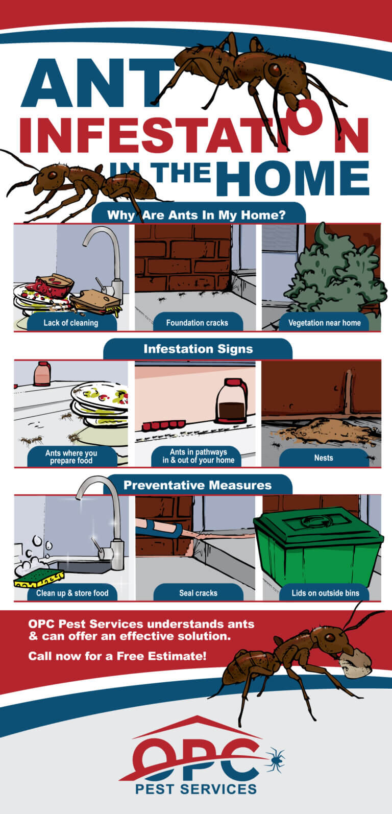 Ant Infestation - OPC Pest Services