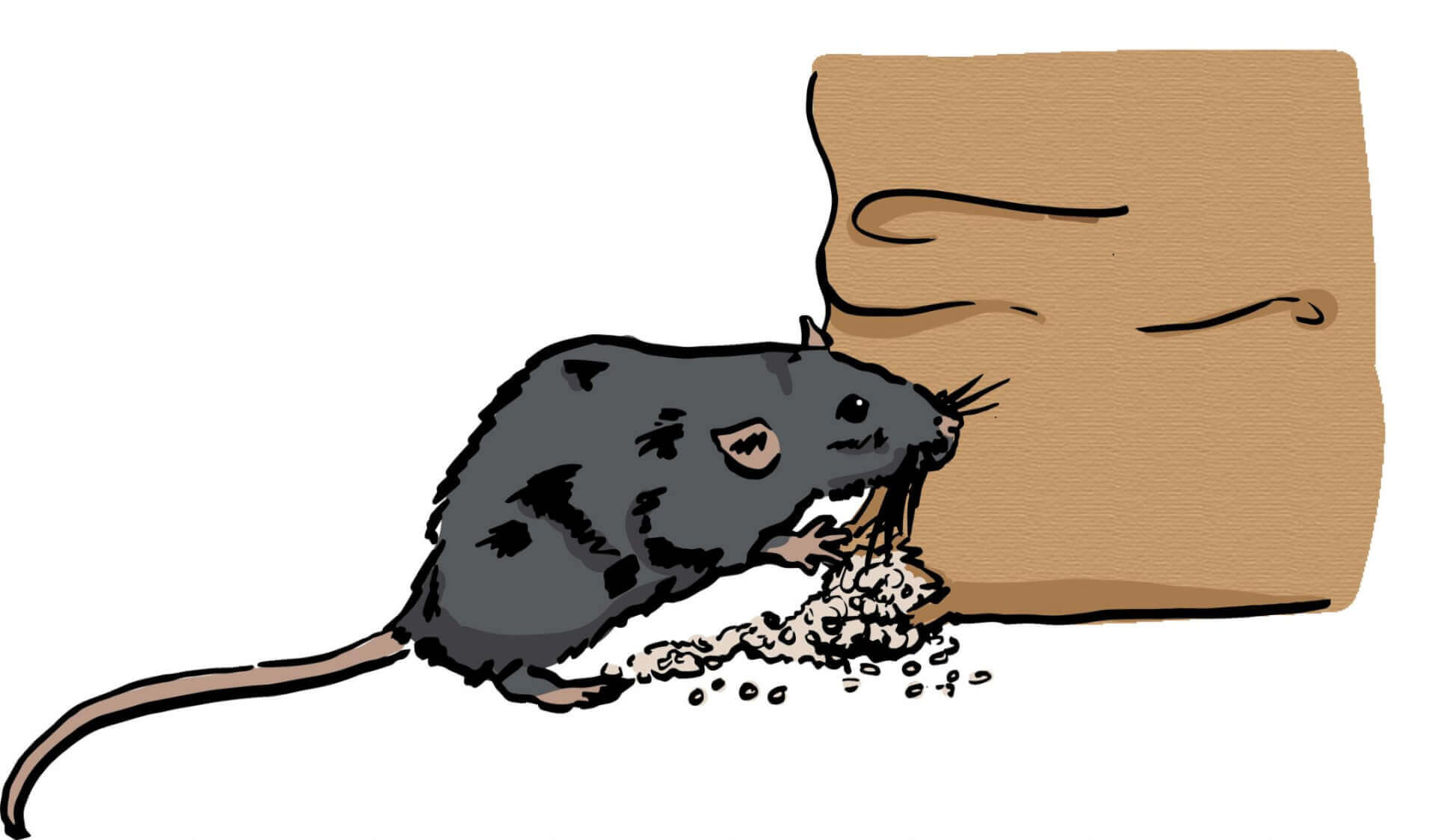 Integrated Pest Management - OPC Pest Services