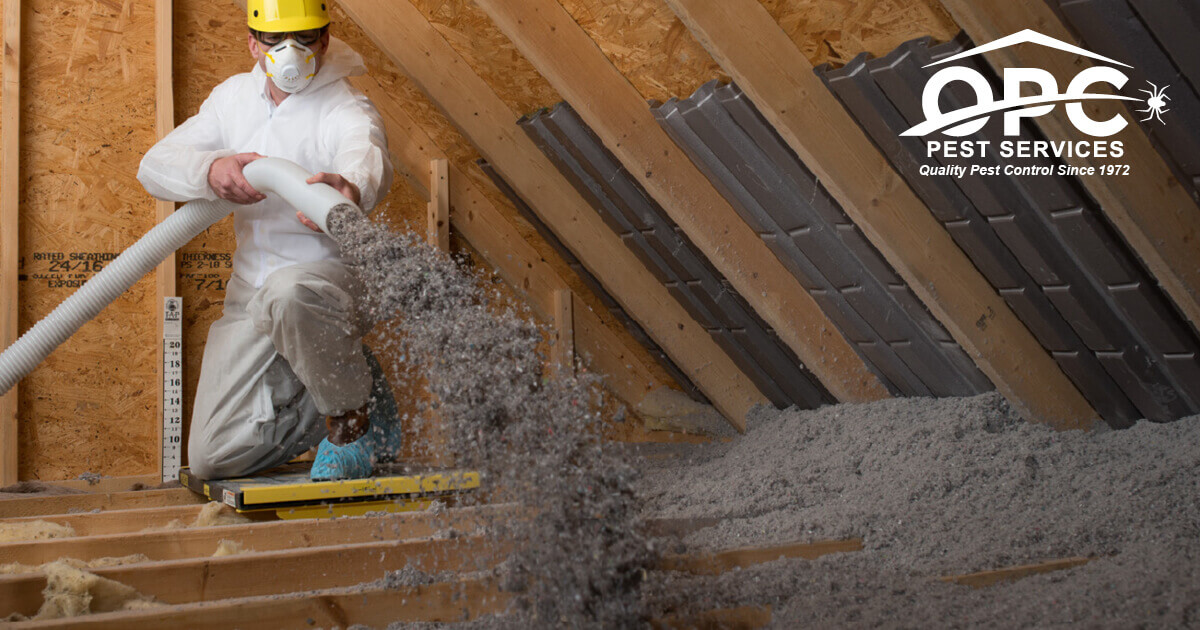 The Green Way To Help Control Pests in Your Attic - OPC Pest Services