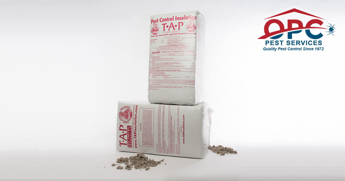 The Green Way To Help Control Pests in Your Attic - OPC Pest Services